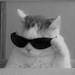 My First Build by Dnxx18_ - AMD Ryzen 5 7600X, Radeon RX 6900 XT, Asus ...